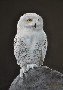 Beautiful Birds Paintings - Internet Vibes