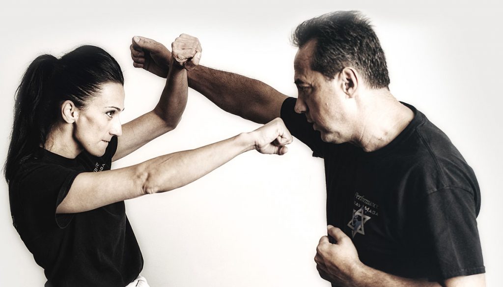 Martial Arts: individual and group classes with Mikhail Peleg