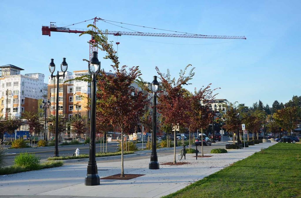 What to Do in Bothell, Washington or What i Have Discovered There