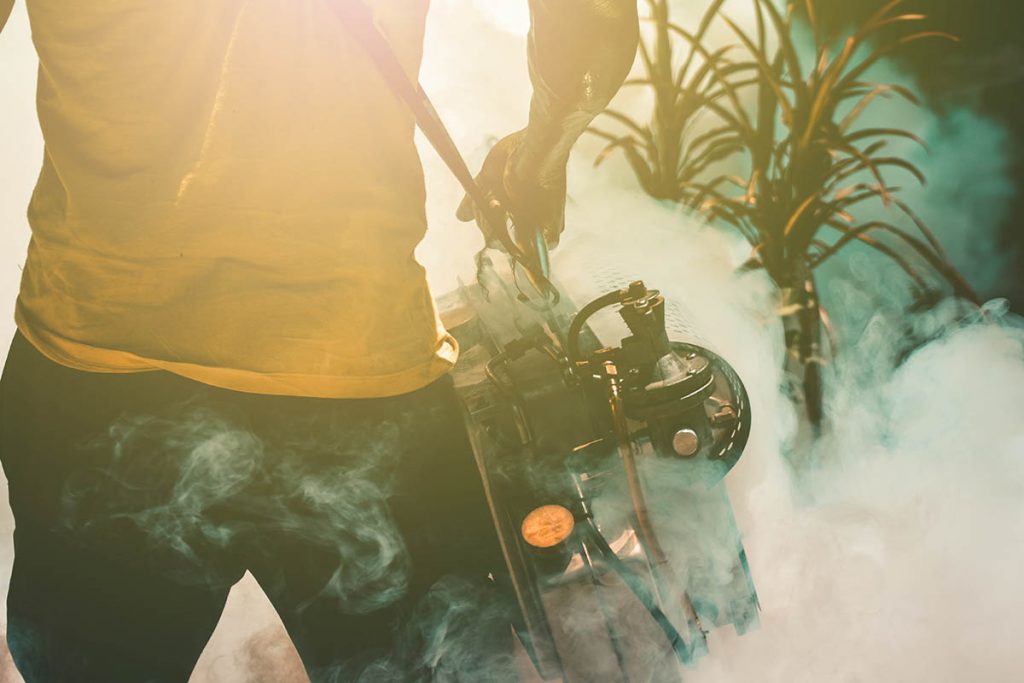 Pest Fest: 7 Signs Your New Home Has Pests! - Internet Vibes