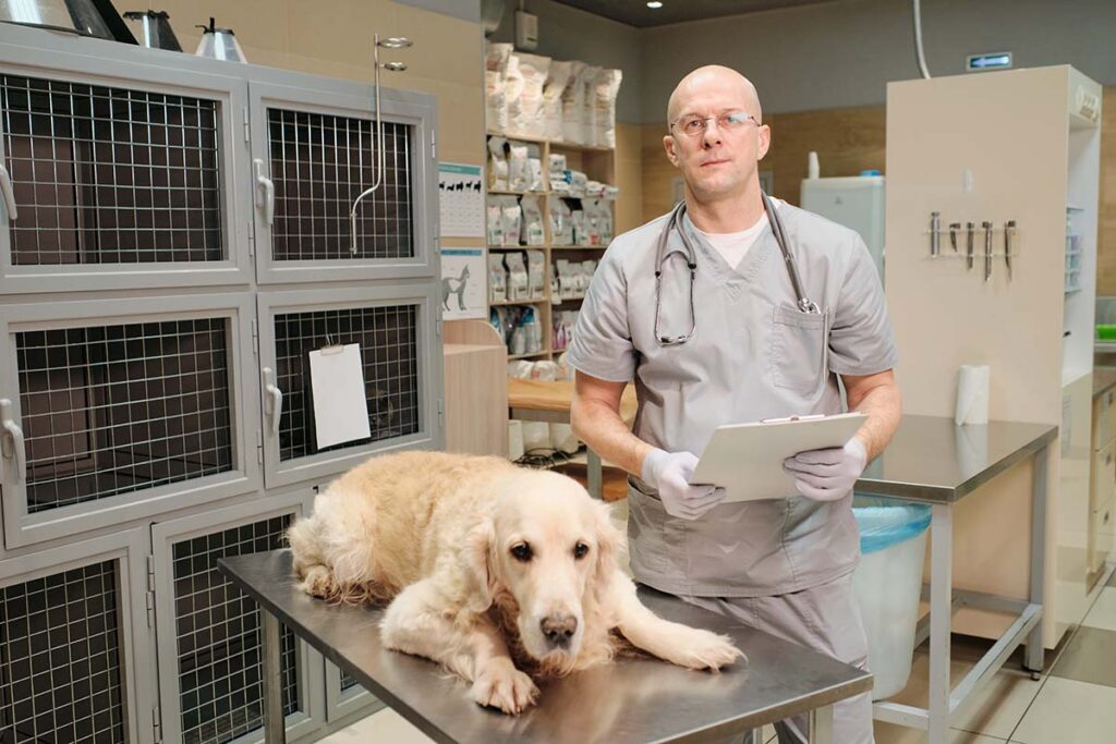 Warning Signs Your Dog Needs to See The Vet Immediately