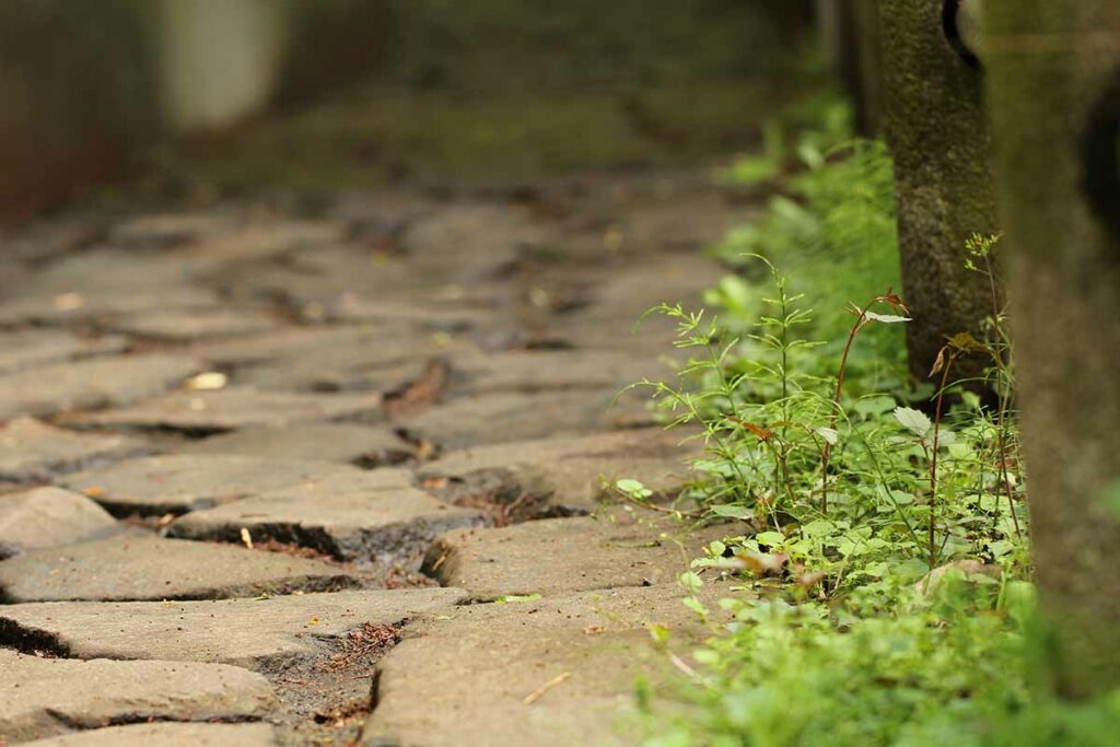 What Is Scour Protection and Why Do You Need It? - Internet Vibes